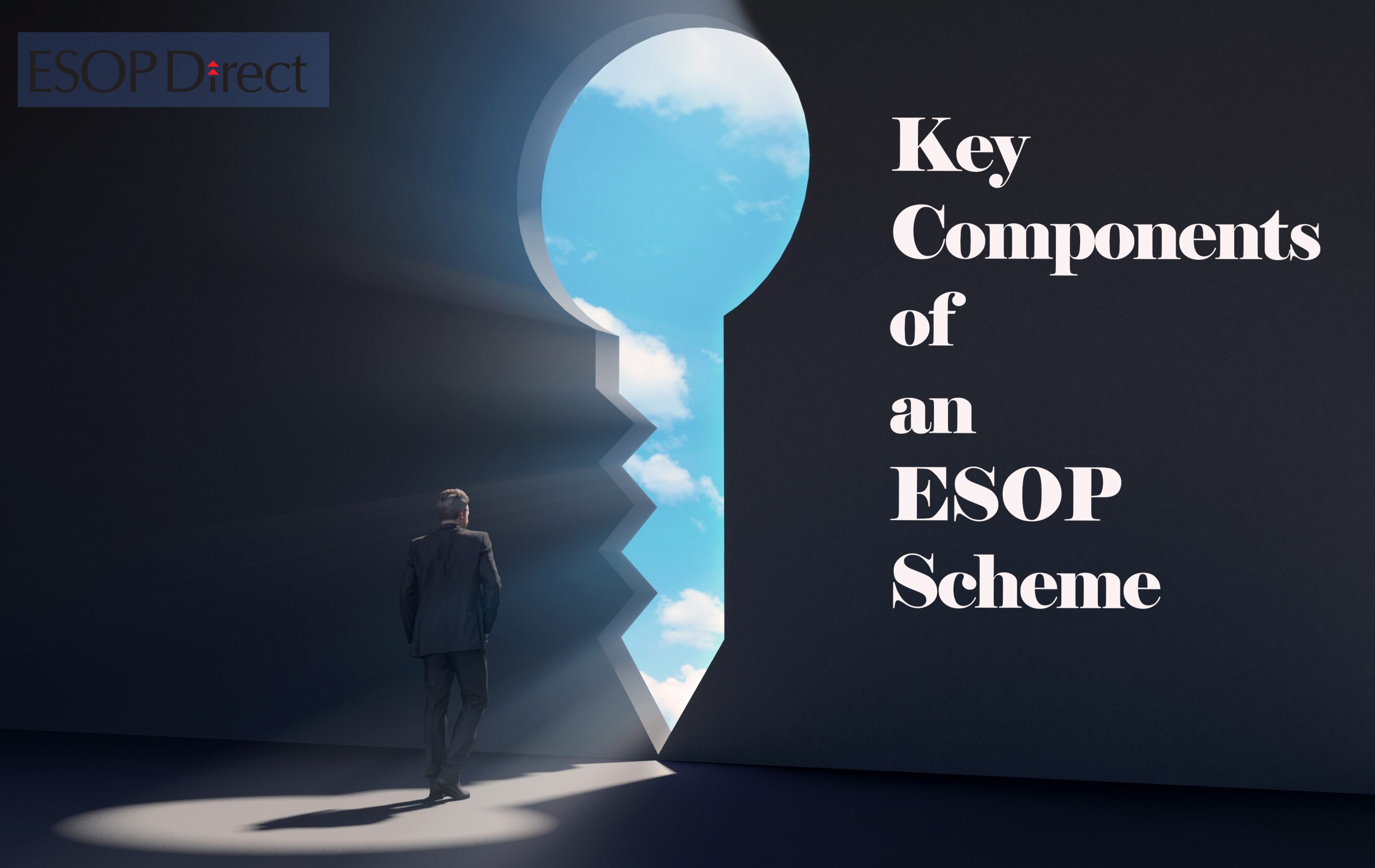 Key Components of an ESOP Scheme - ESOP Direct Key Components of an ESOP Scheme - ESOP Direct